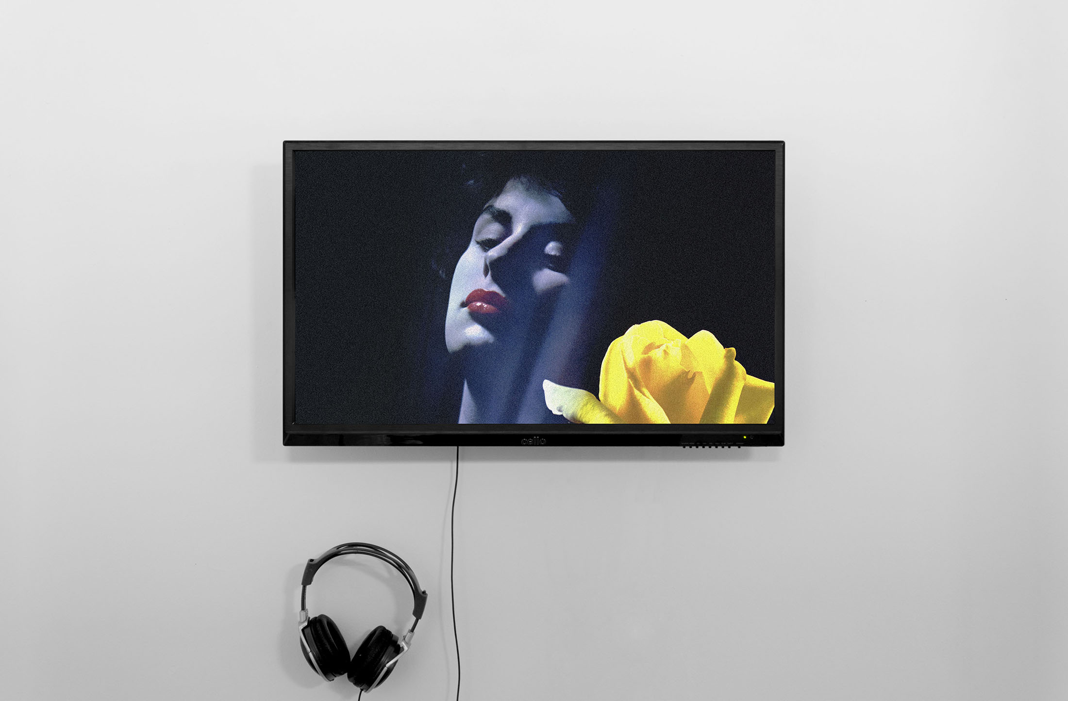 Portfolio | MARCUS KLEINFELD